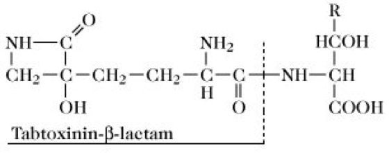 Tabtoxine - Lexikon der Biochemie