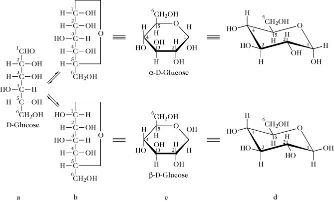 Monosaccharide - Lexikon der Biochemie