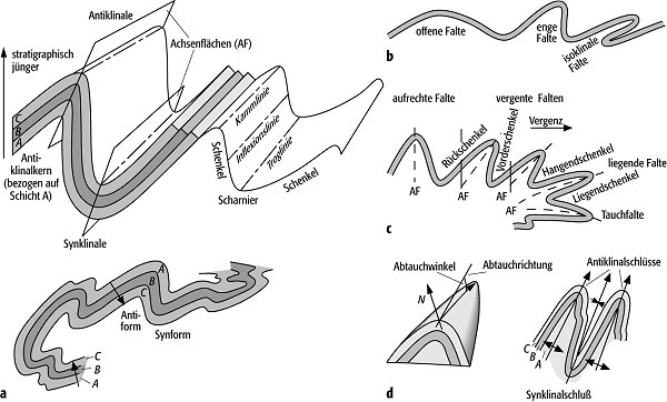 Falte - Lexikon der Geowissenschaften