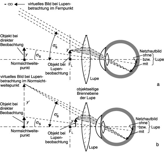 Lupe - Lexikon der Optik