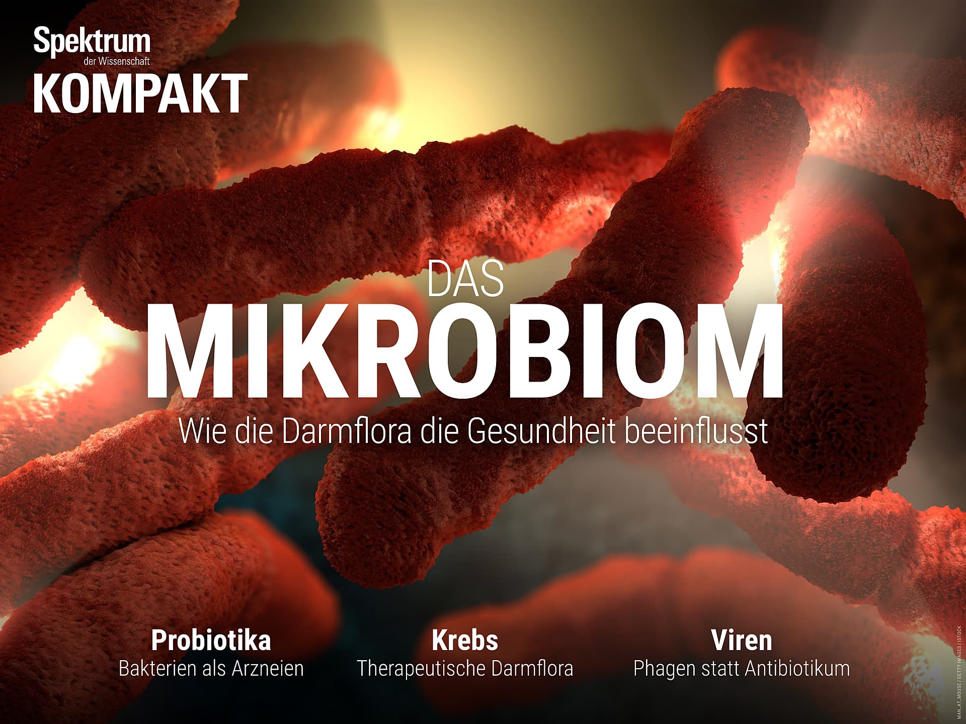Kompakt Mikrobiom: gesunde Darmflora - Spektrum der Wissenschaft