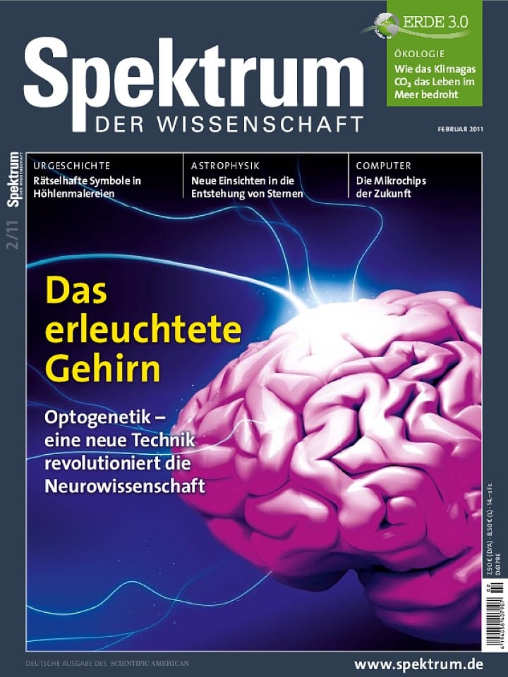 Digitalpaket Spektrum der Wissenschaft Jahrgang 2011 - Spektrum der ...