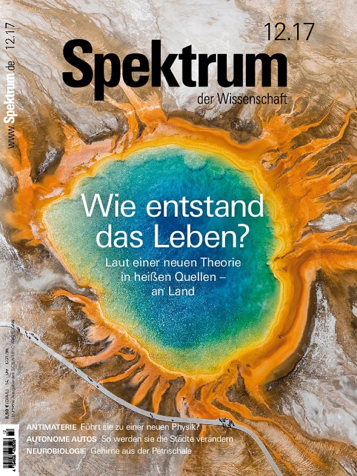 Digitalpaket Spektrum der Wissenschaft Jahrgang 2017 - Spektrum der ...