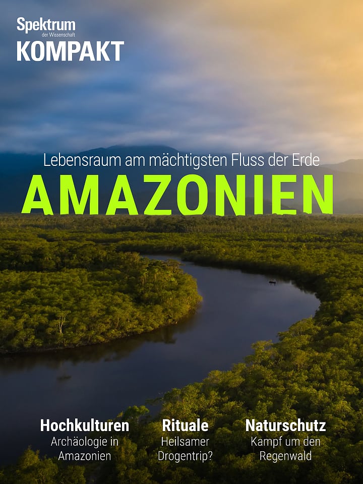 Amazonas-Archäologie: Menschen siedelten schon früh auch in Amazonien ...