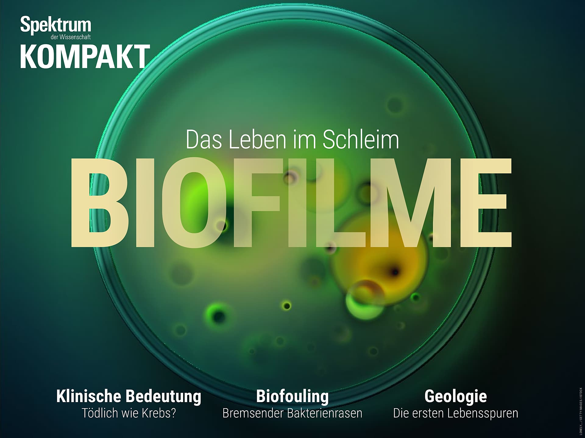 Spektrum Kompakt: Biofilme - Spektrum der Wissenschaft