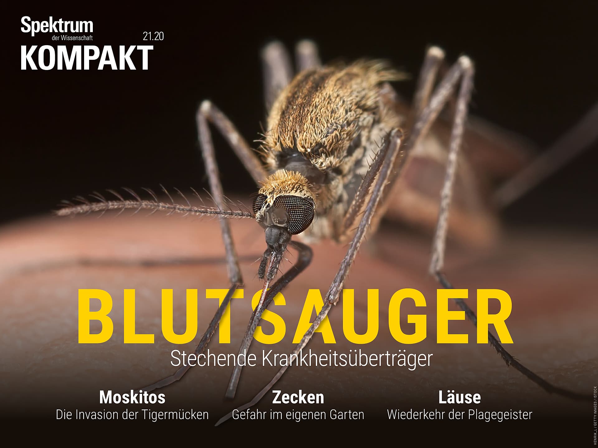 Spektrum Kompakt: Blutsauger - Spektrum der Wissenschaft