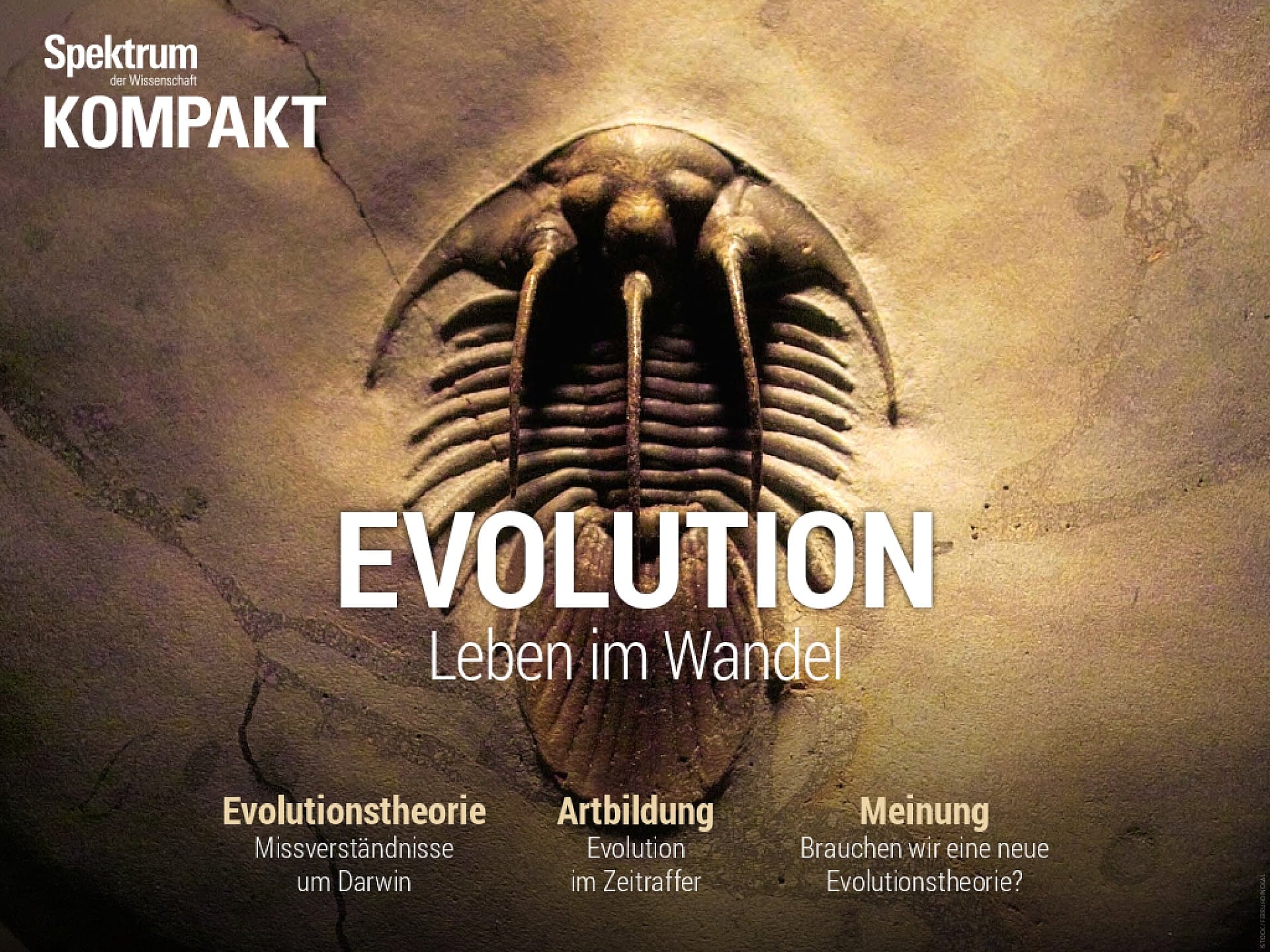 Spektrum Kompakt: Evolution - Leben im Wandel - Spektrum der Wissenschaft