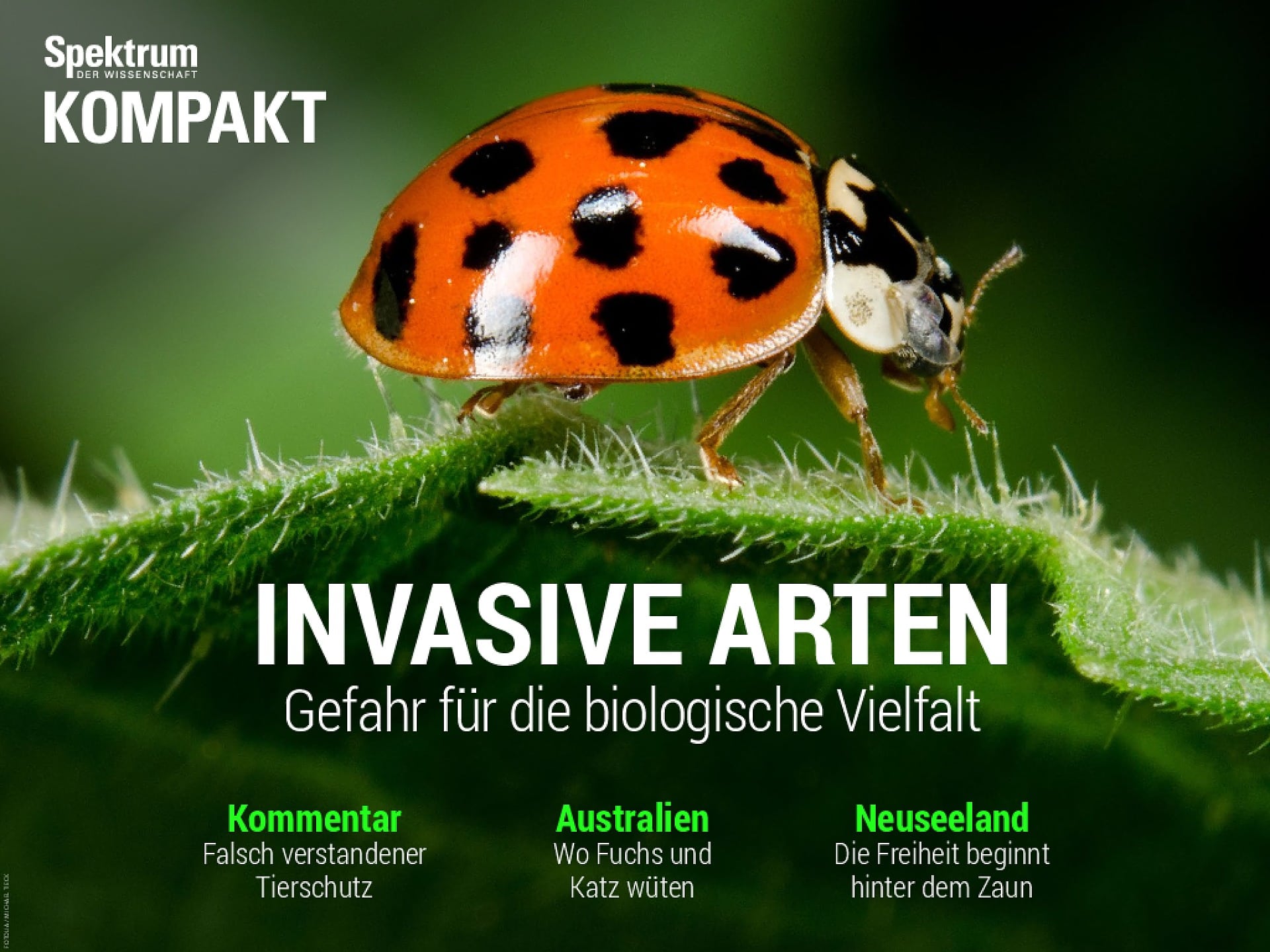 Invasive Arten Ab Wann: Invasive Arten Liste – JYNFLT