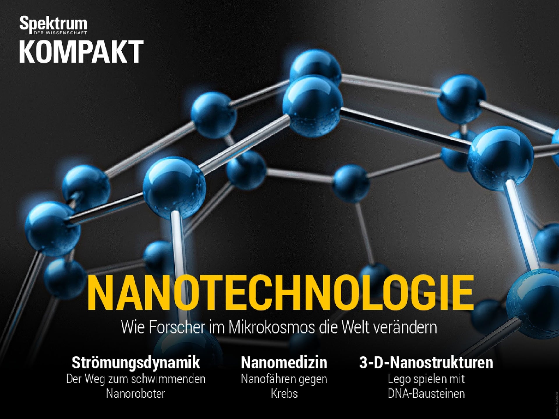 Spektrum Kompakt: Nanotechnologie - Spektrum der Wissenschaft