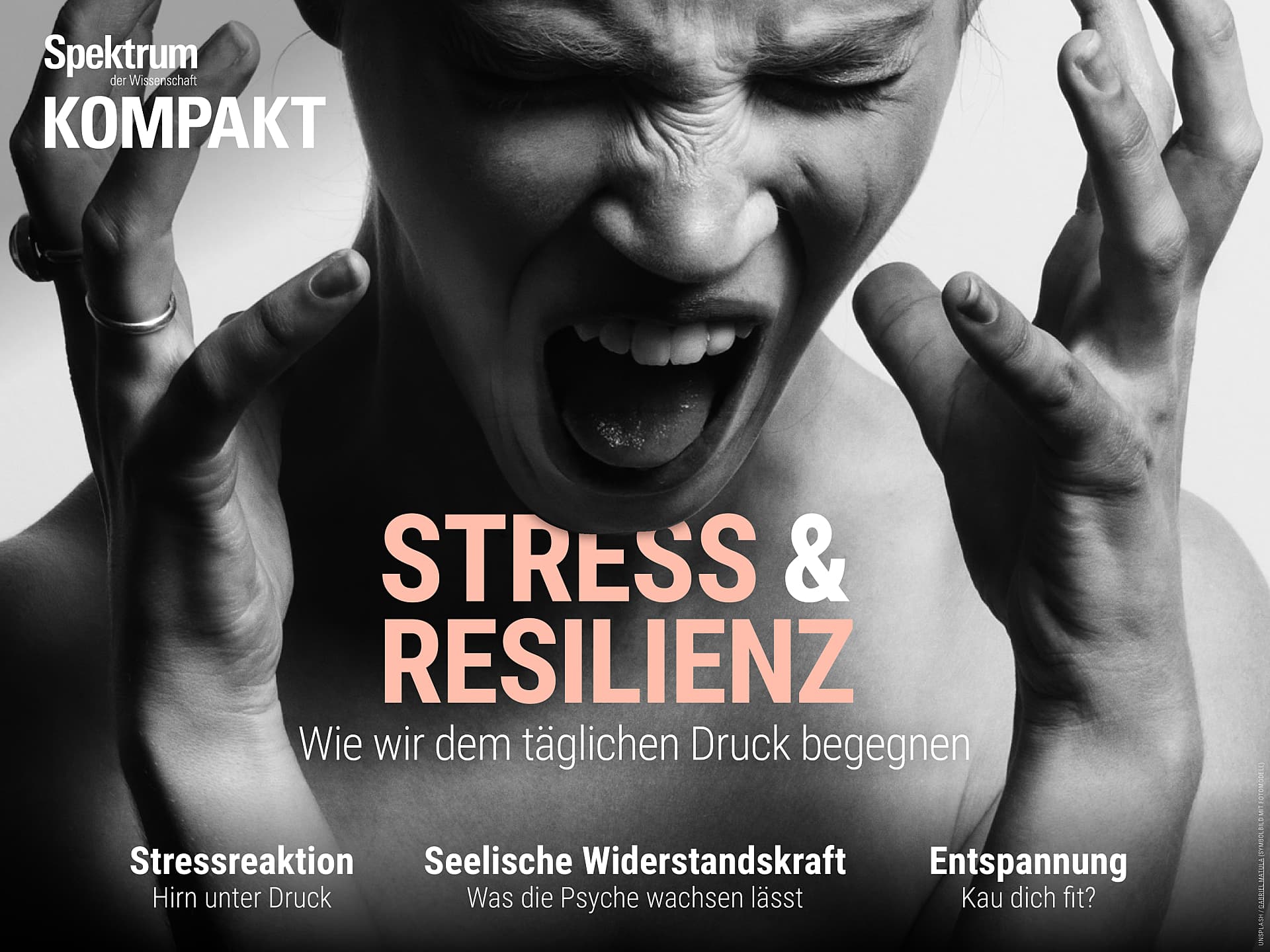 Spektrum Kompakt: Stress und Resilienz - Spektrum der Wissenschaft