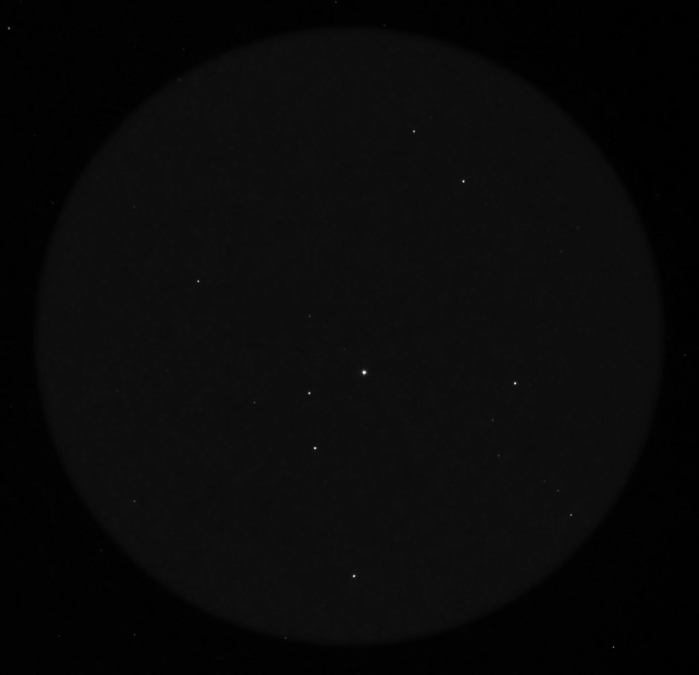 (7) Iris - Spektrum der Wissenschaft